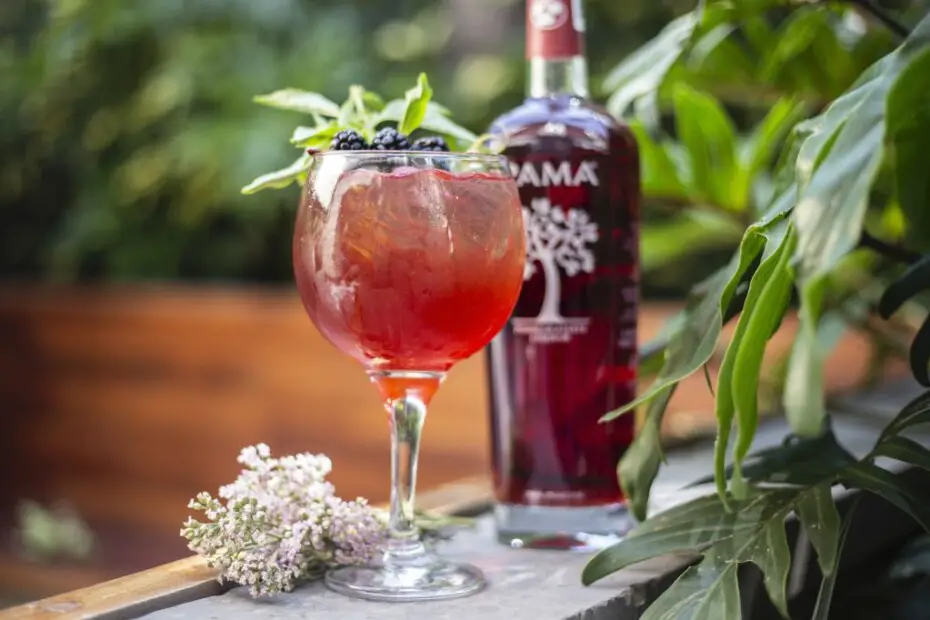 +10 Tragos con Pama [Ingredientes y Preparación]