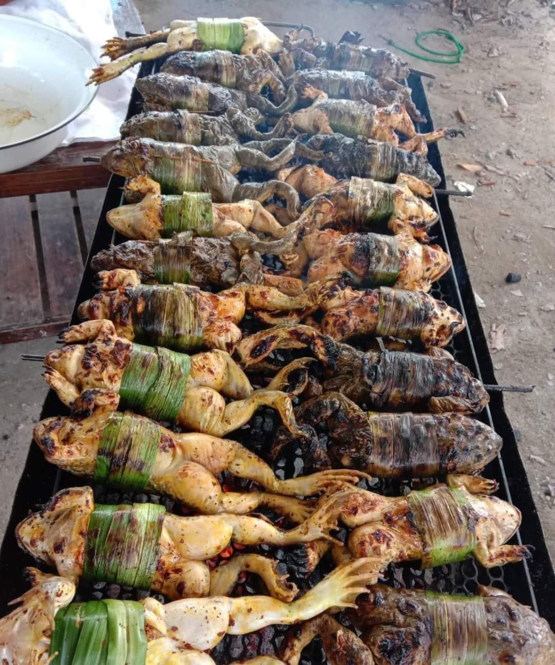 Comida típica de la Amazonía: Recetas exóticas y deliciosas - Los Vinos ...